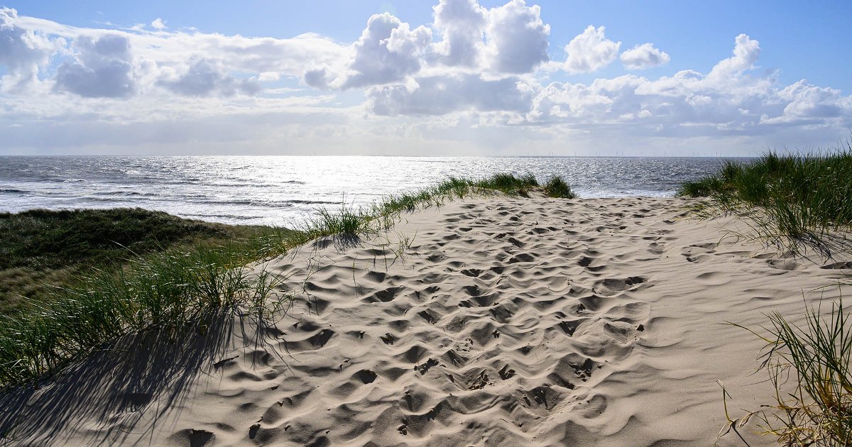 Noord-Hollands Duinreservaat (Egmond aan Zee) - NS-wandeling | Dagje ...