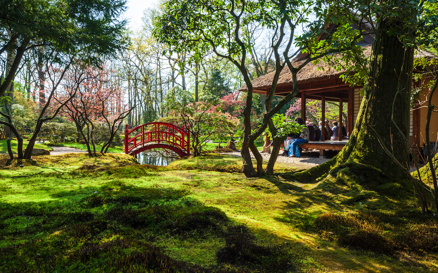 Wandeling door Den Haag: het groen in met 4 parken | NS