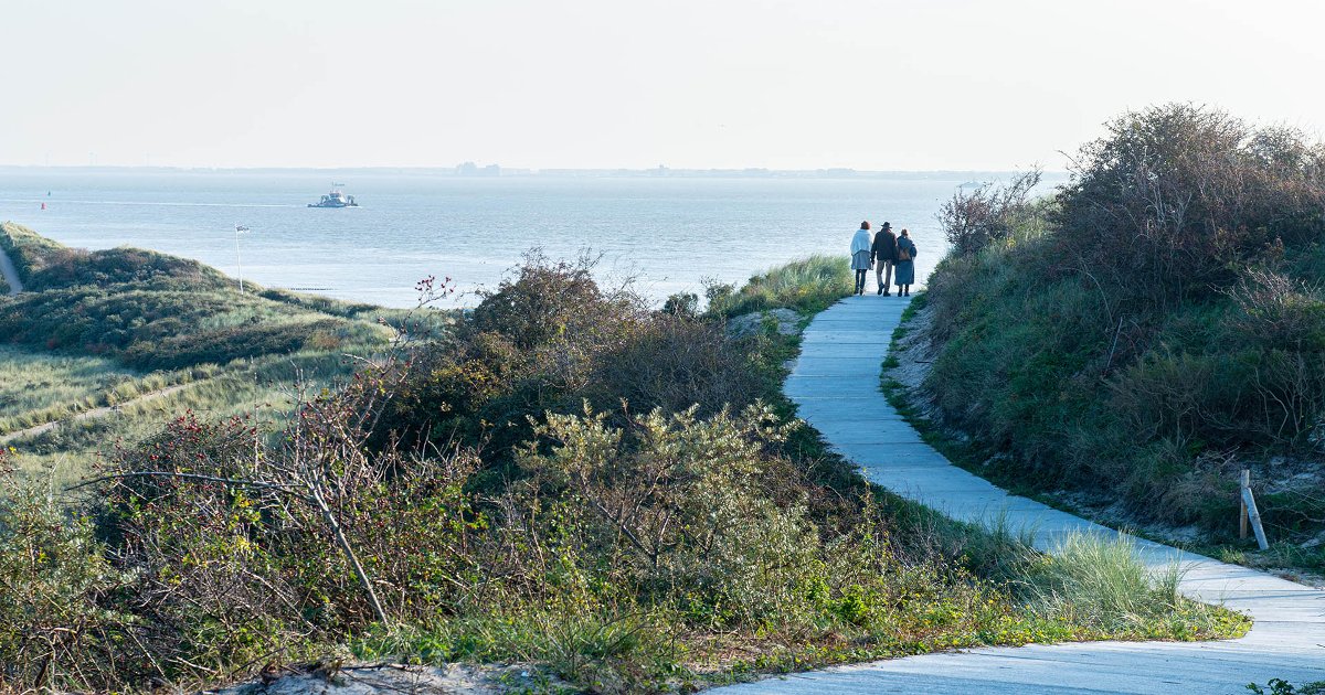 Wandelroutes in Nederland | NS Dagje Uit | NS