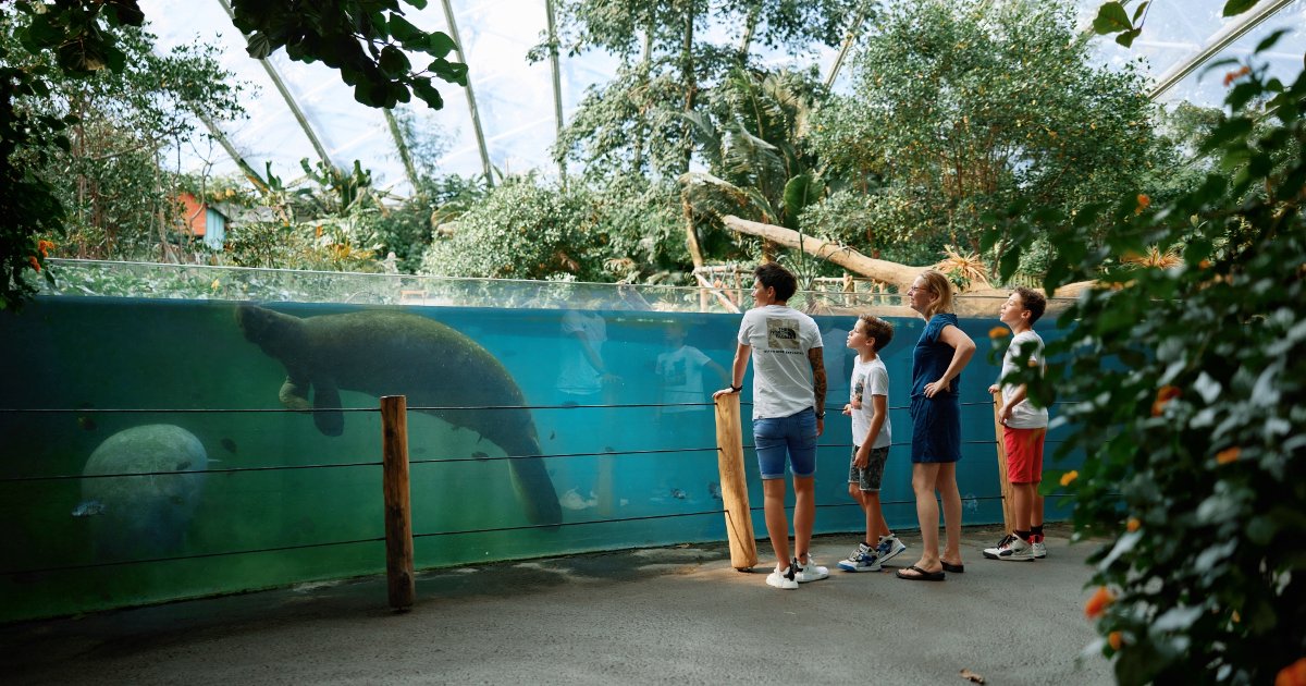 Op safari in de natuur en de leukste dierentuinen | NS dagje uit | NS