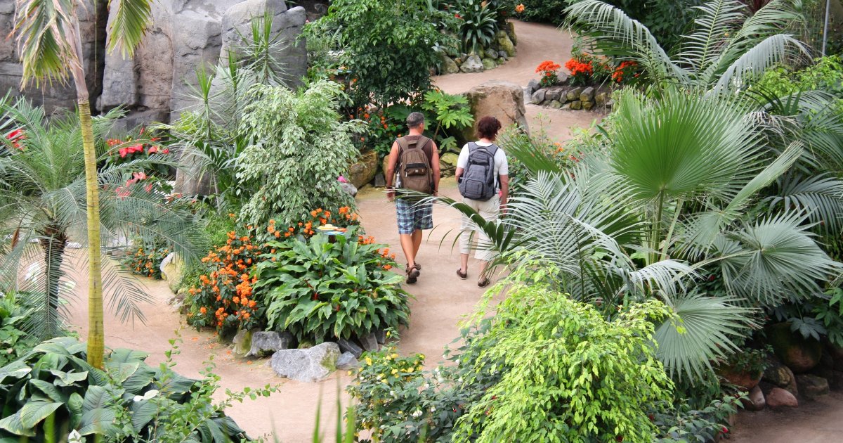 De leukste vlindertuinen in Nederland | NS Dagje Uit | NS