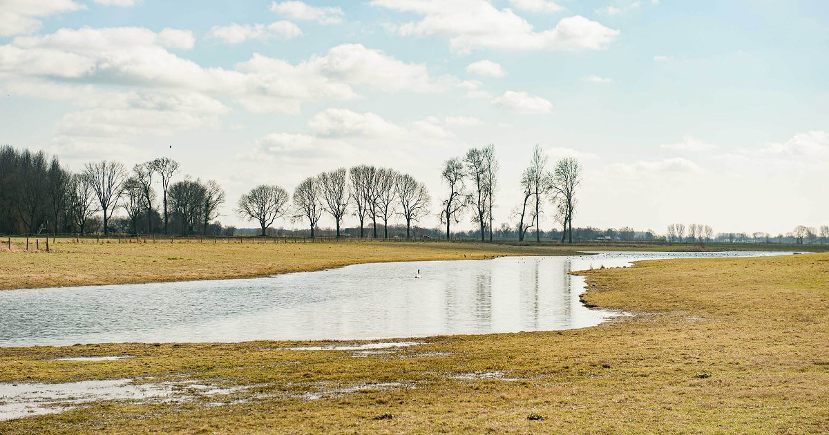 5x wandelen langs het water | Wandelen | Actief in de natuur | NS Dagje ...