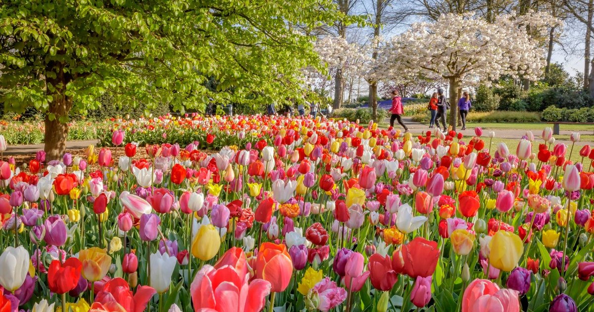 De leukste betaalbare activiteiten van de lente | NS Dagje Uit | NS