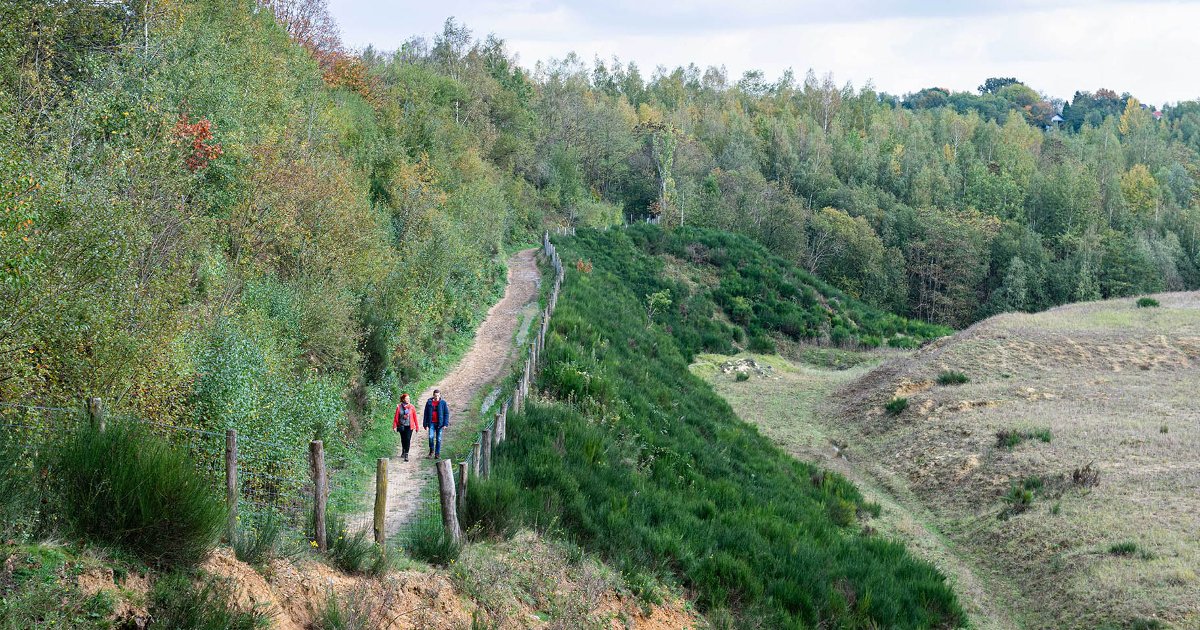 Wandelen in Zuid-Limburg | NS