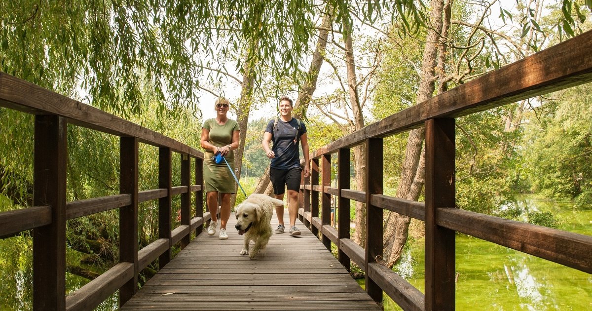 Wandelen met de hond | NS Dagje Uit | NS