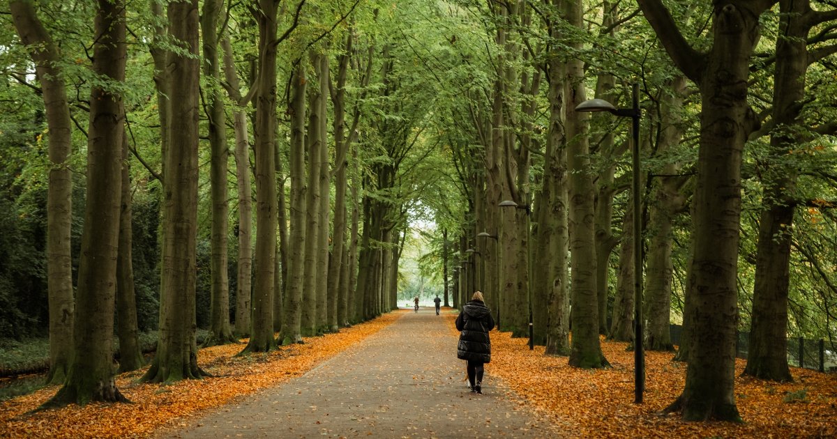 Ontdek het bruisende Almelo centrum | NS Dagje Uit | NS