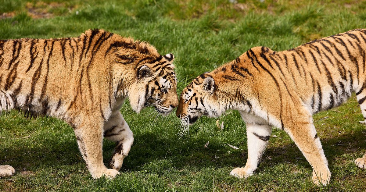 AquaZoo Leeuwarden | Dagje uit | Spoordeelwinkel | NS Spoordeelwinkel
